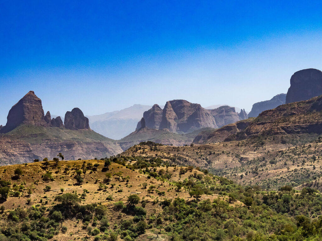 A Breathtaking Encounter with Gelada Baboons in the Simien Mountains